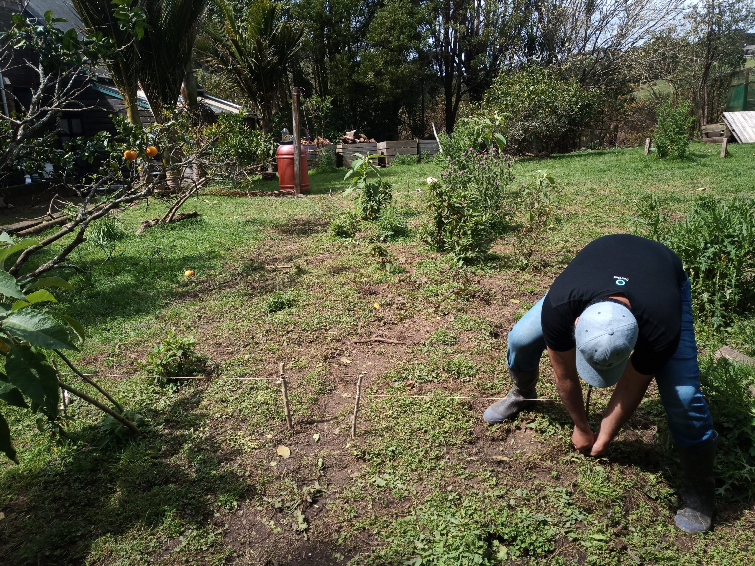 Co-op Farm Project - Regenscapes